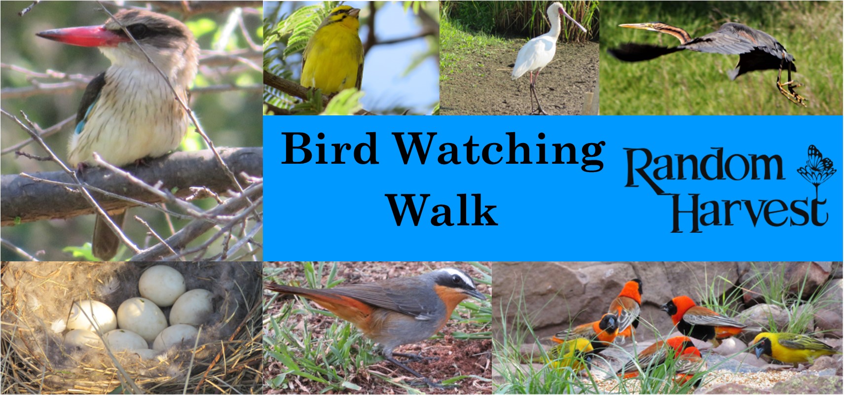 Indigenous Plant Nursery - Muldersdrift - Guest House Accommodation