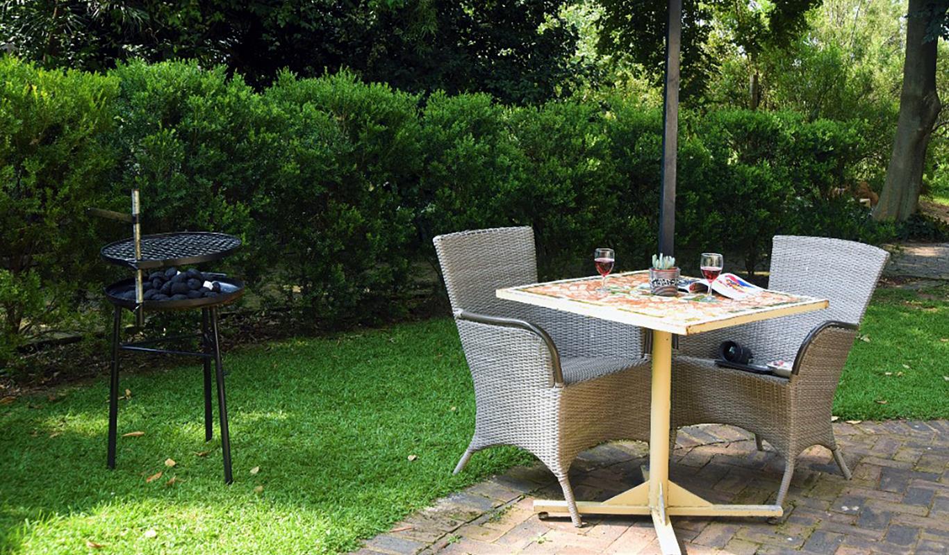 Buxus macowanii Cape Box Kaapse buksboom