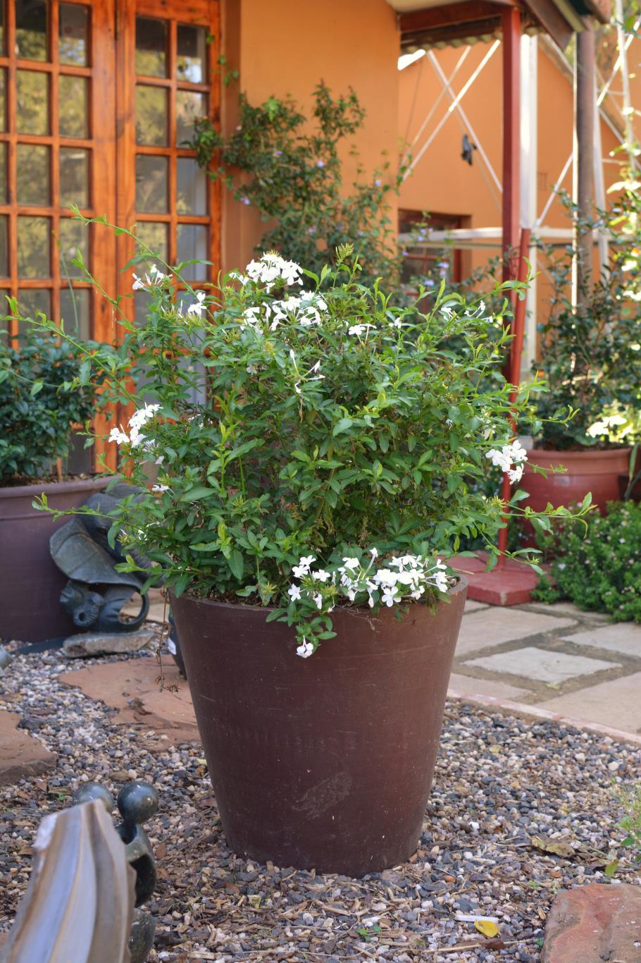 Indigenous Plant Nursery - Muldersdrift - Guest House Accommodation