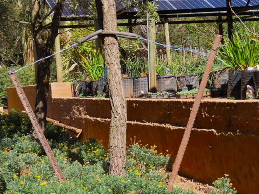 Random Harvest Plant Nursery - Farm Information and Activities